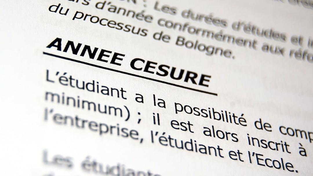 Année de césure : tout savoir sur cette année étudiante