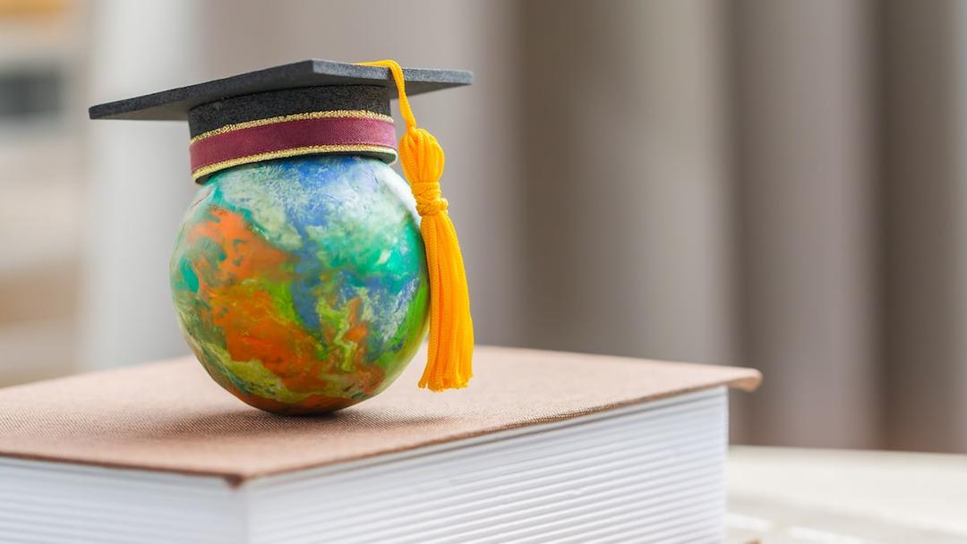 Qu'est-ce qu'un Master of Science (MSc) ? Tout savoir sur ce diplôme