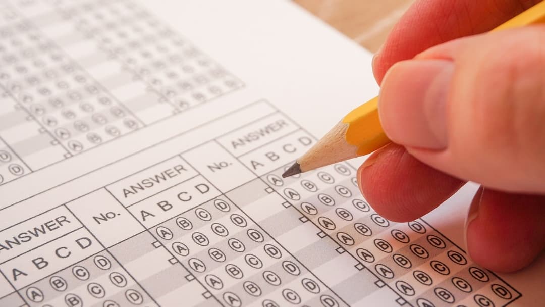 Certification en anglais niveau licence : les modalités - digiSchool