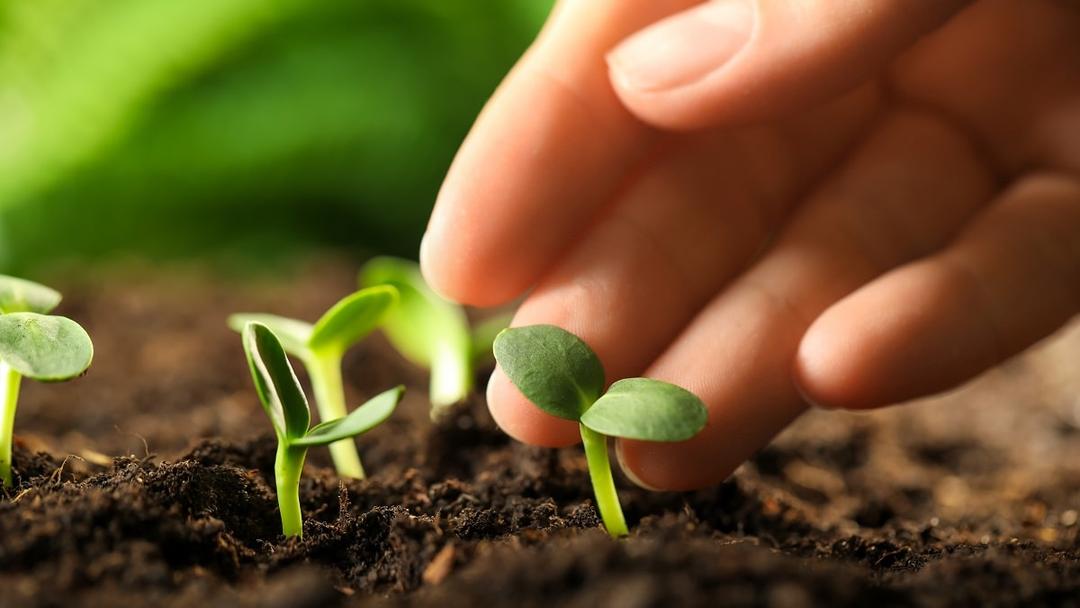 Bac pro GMNF - Gestion des Milieux Naturels et de la Faune - digiSchool